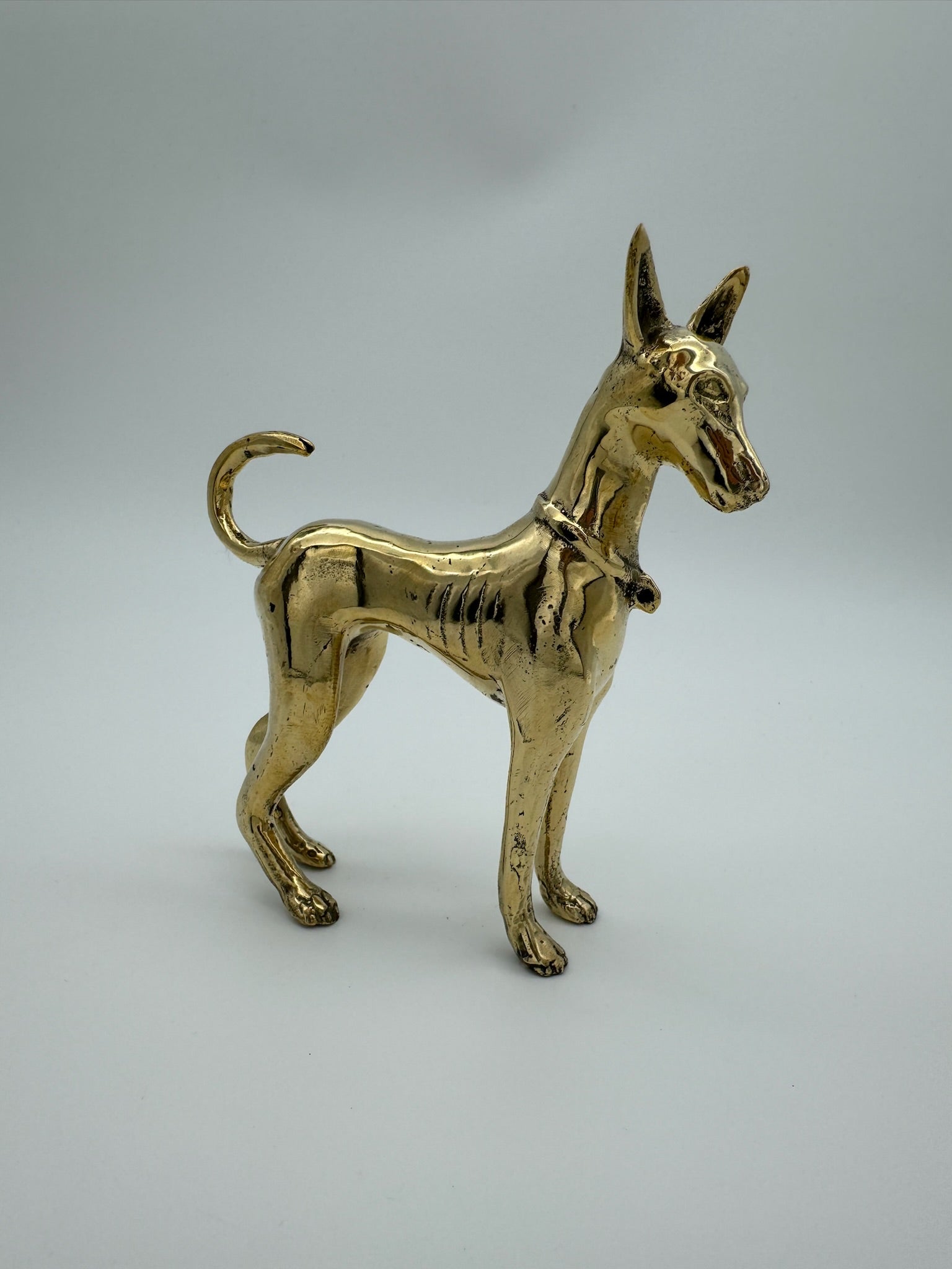 Dogs – Bronze Betty