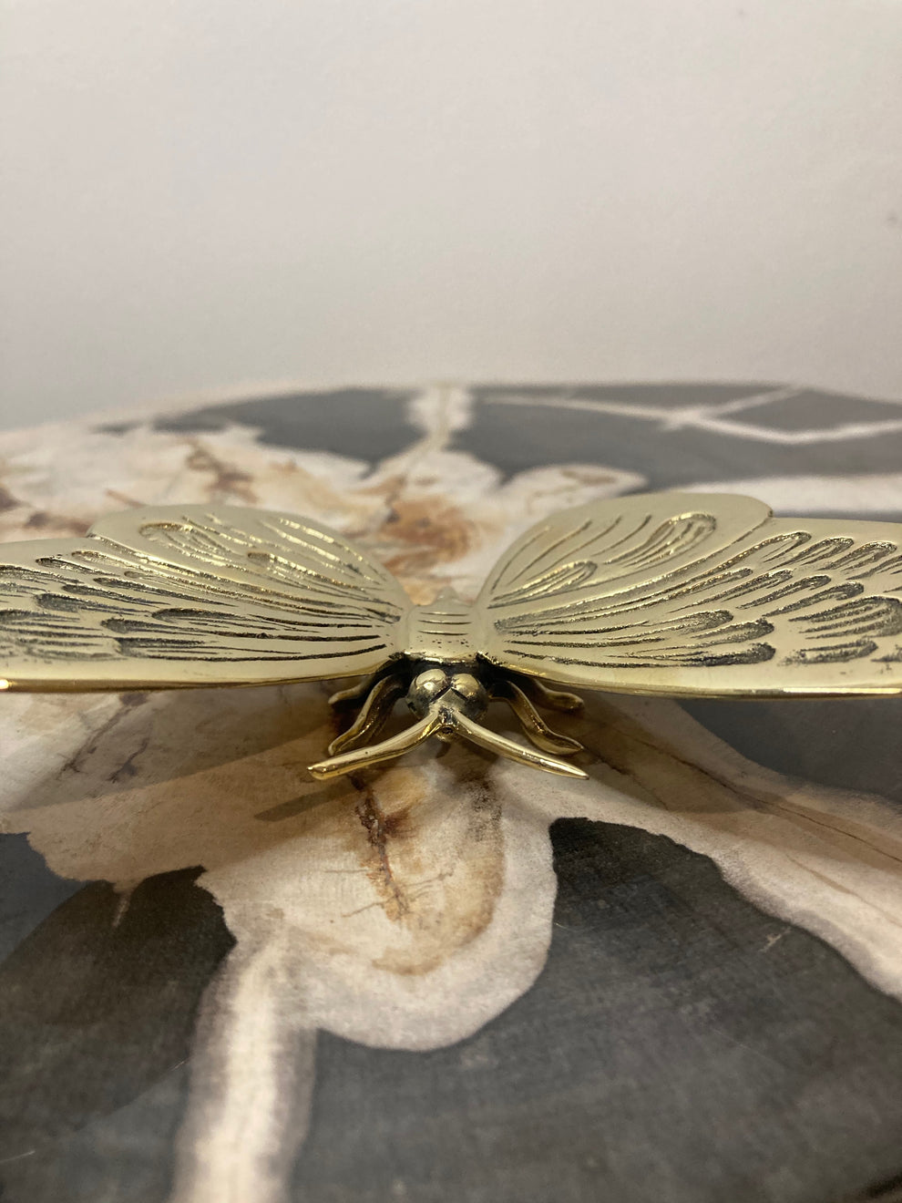 Butterfly Rounded Wings 13cm – Bronze Betty